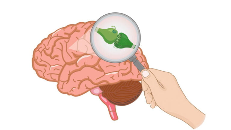 What to Do If You're Too High: Tips to Sober Up | Area 52