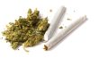 Spliff vs. Joint: What’s the Difference?